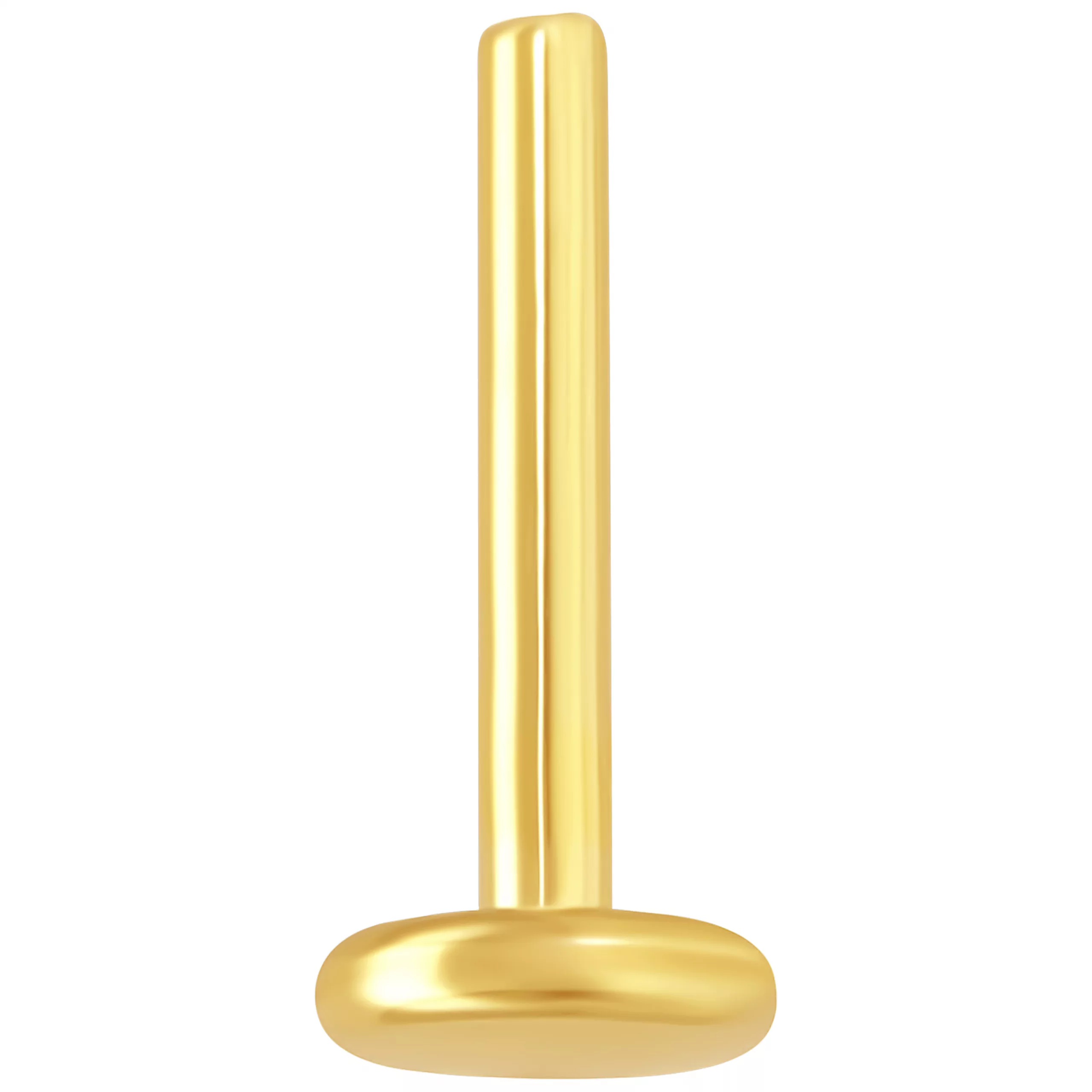 Internally Labret Stud without Attachment 14k - Wildcat International