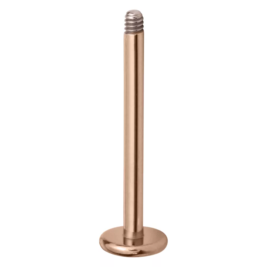 Rosegold Micro Labret - Wildcat International