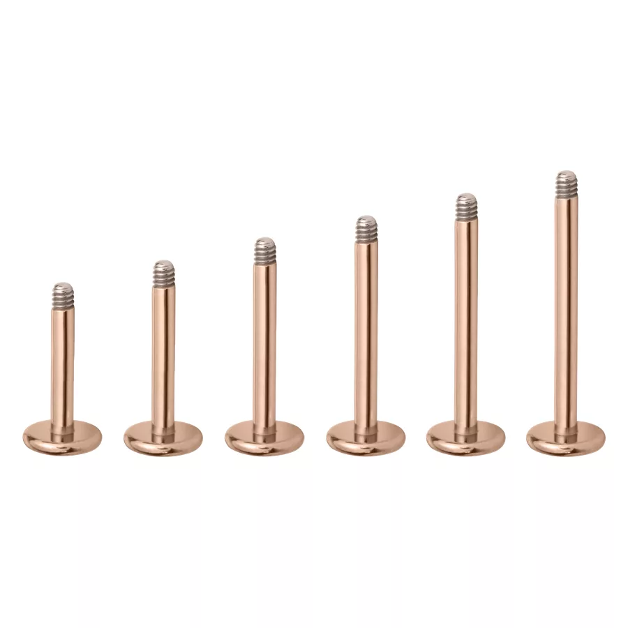Rosegold Micro Labret - Wildcat International