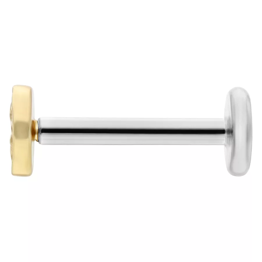 Medium Circle Hammered Labret - Wildcat International