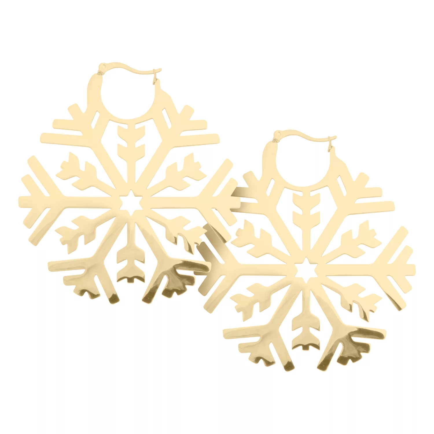 Frozen Hoops - Wildcat International