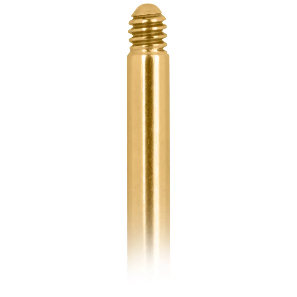 Micro Basic Labret Stud - Wildcat International